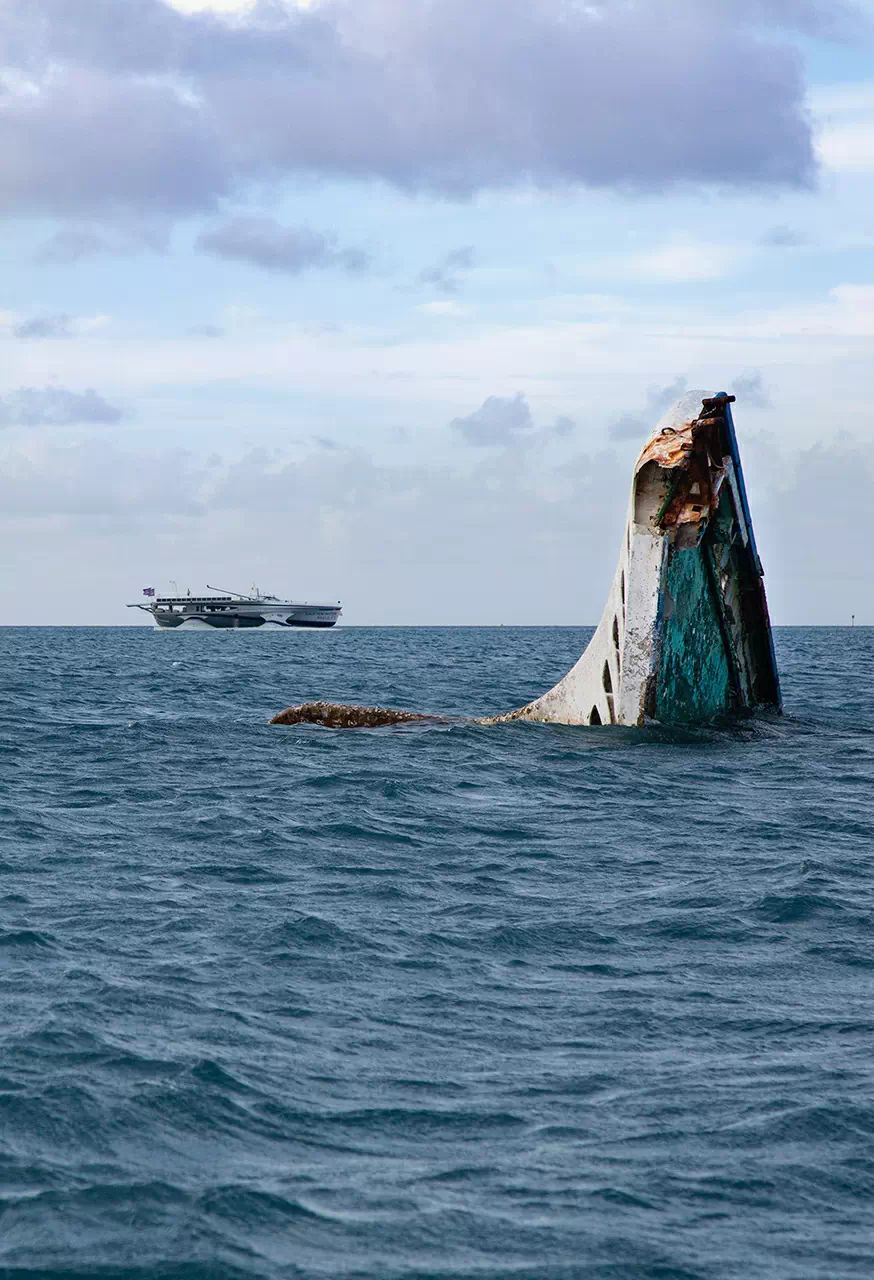 The Kingdom of Tonga opens its doors to us. - Race For Water