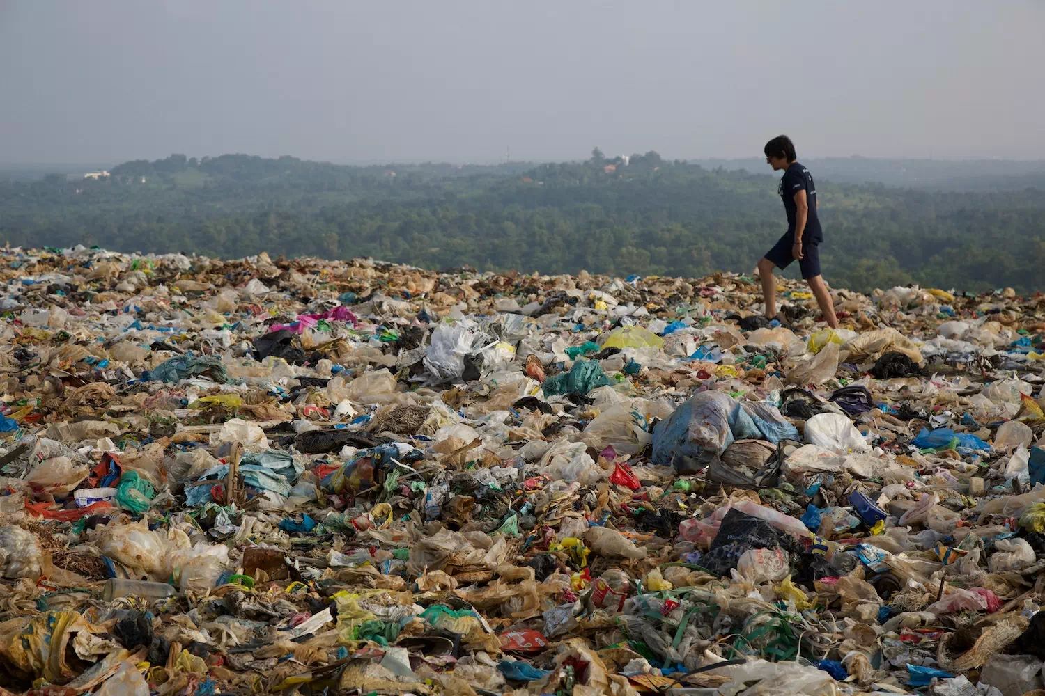 Palawan, a picture postcard… - Race For Water